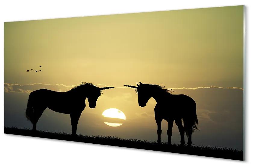 Obraz na skle Polní sunset jednorožci 100x50 cm