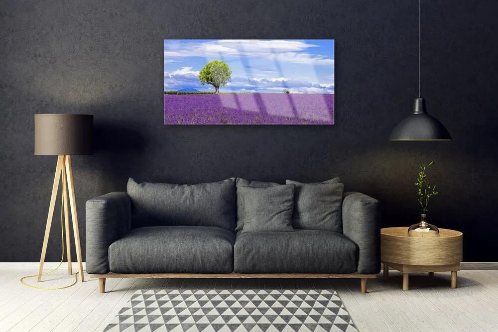 Obraz na skle Pole Levandule Strom Příroda 125x50 cm