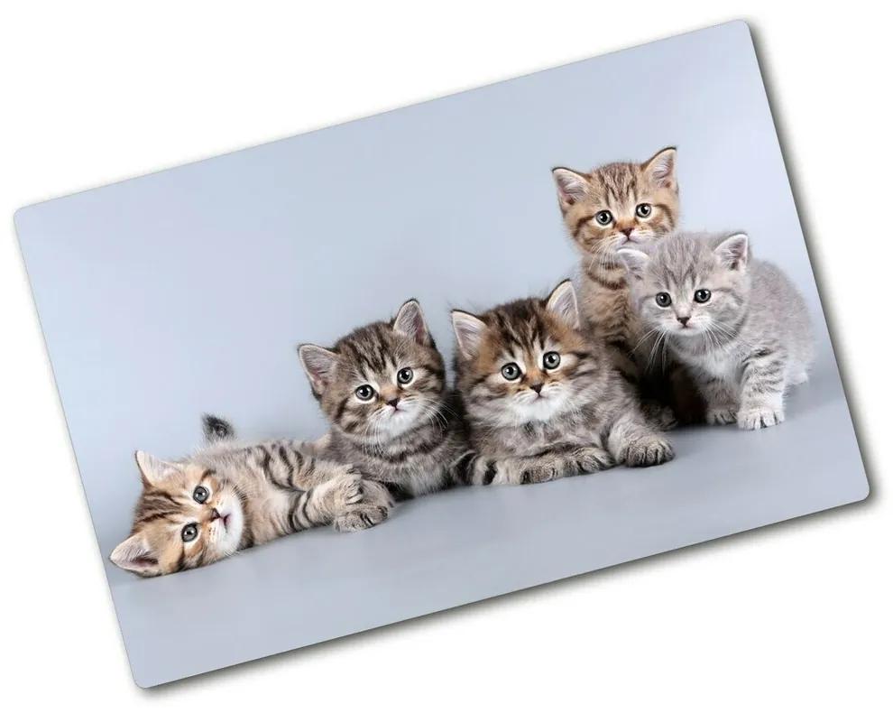Wallmuralia Kuchyňská deska skleněná Pět koček 80x52 cm
