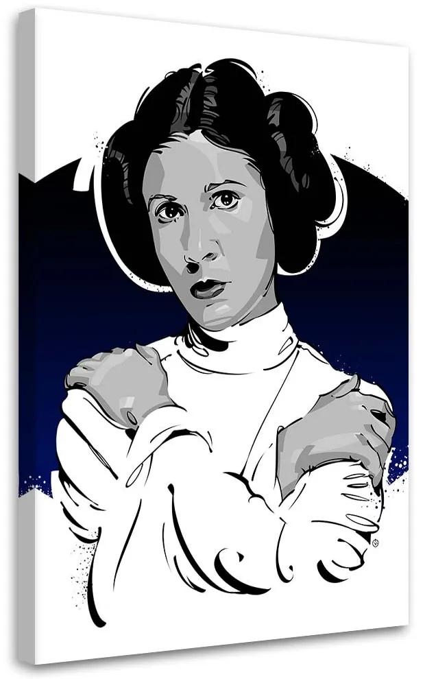 Gario Obraz na plátně Star Wars, Leia Organa - Nikita Abakumov Rozměry: 40 x 60 cm