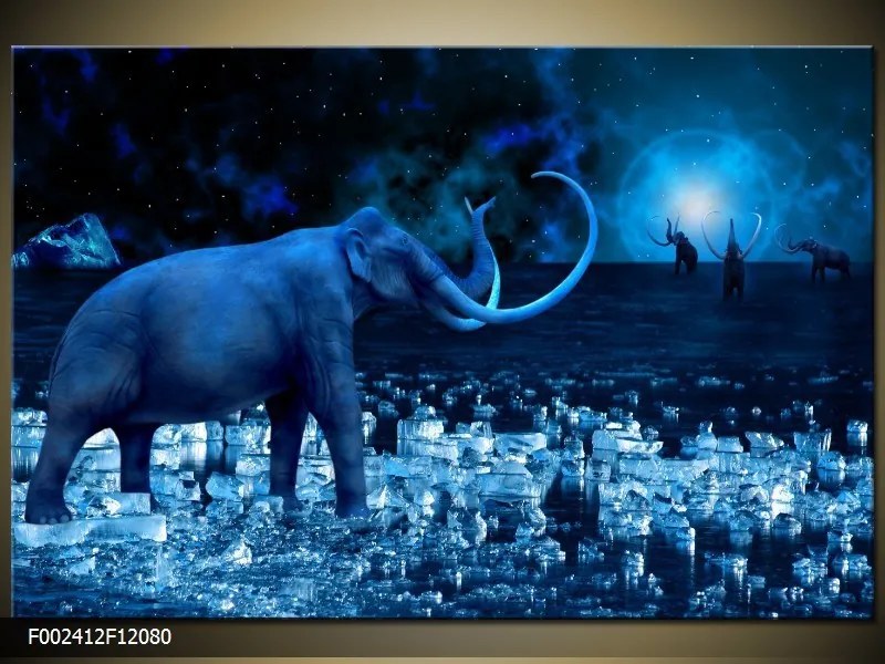 Obraz na plátně Slon v modré, Obdélník 120x80cm 2198 Kč