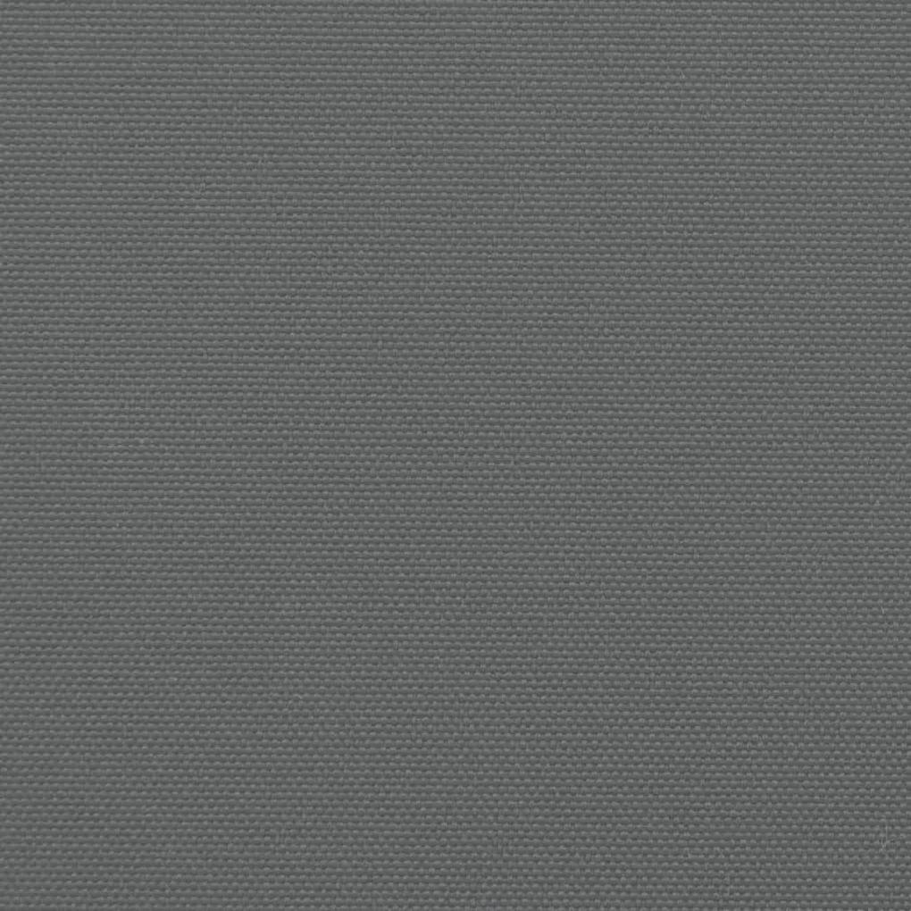 Zatahovací boční markýza antracitová 200 x 1 000 cm,  4004763