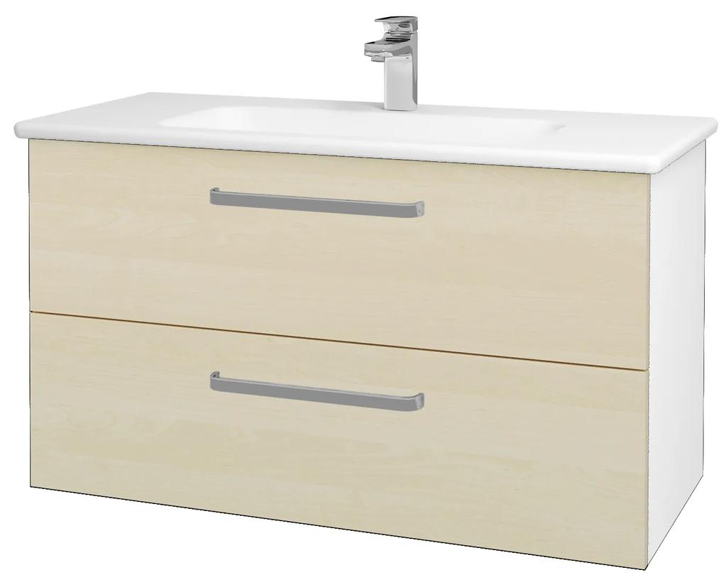 Dřevojas Koupelnová skříň GIO SZZ2 100 Varianta: N01 Bílá lesk / Úchytka T01 / IND Individual