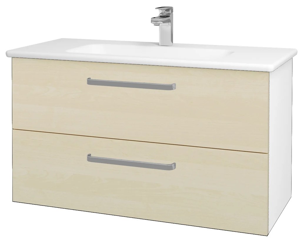 Dřevojas Koupelnová skříň GIO SZZ2 100 Varianta: N01 Bílá lesk / Úchytka T02 / M01 Bílá mat