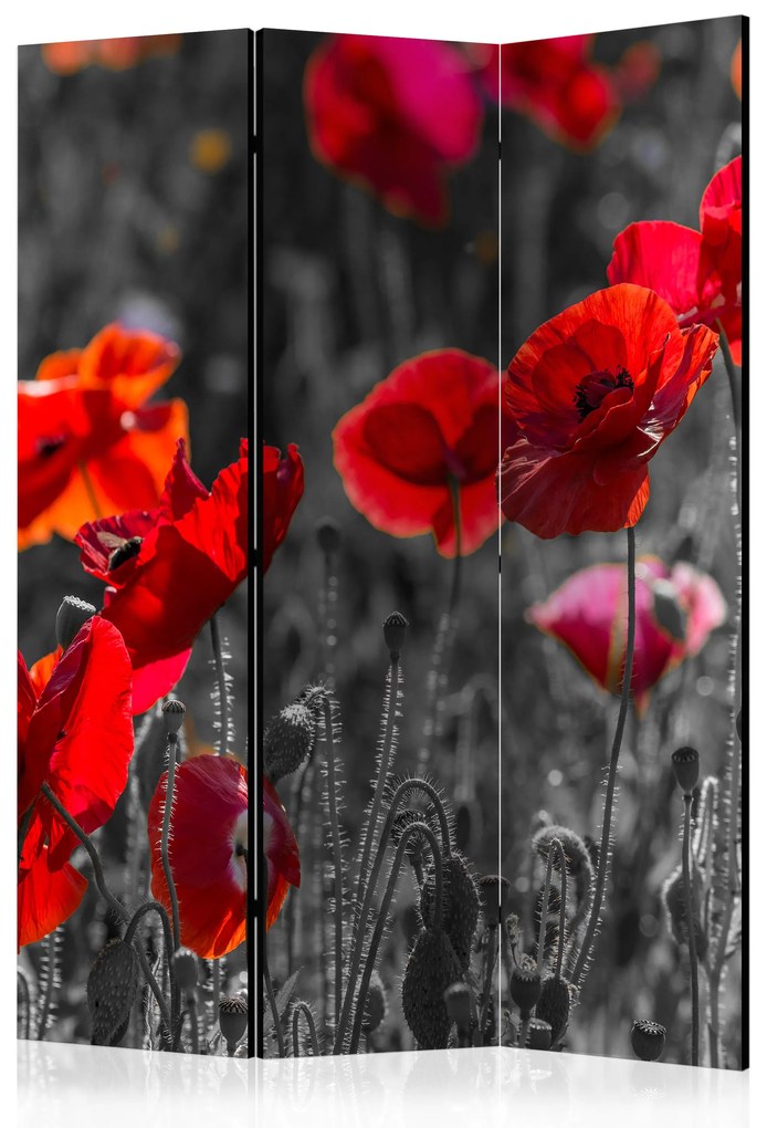 Artgeist Paraván - Red Poppies [Room Dividers] 135x172