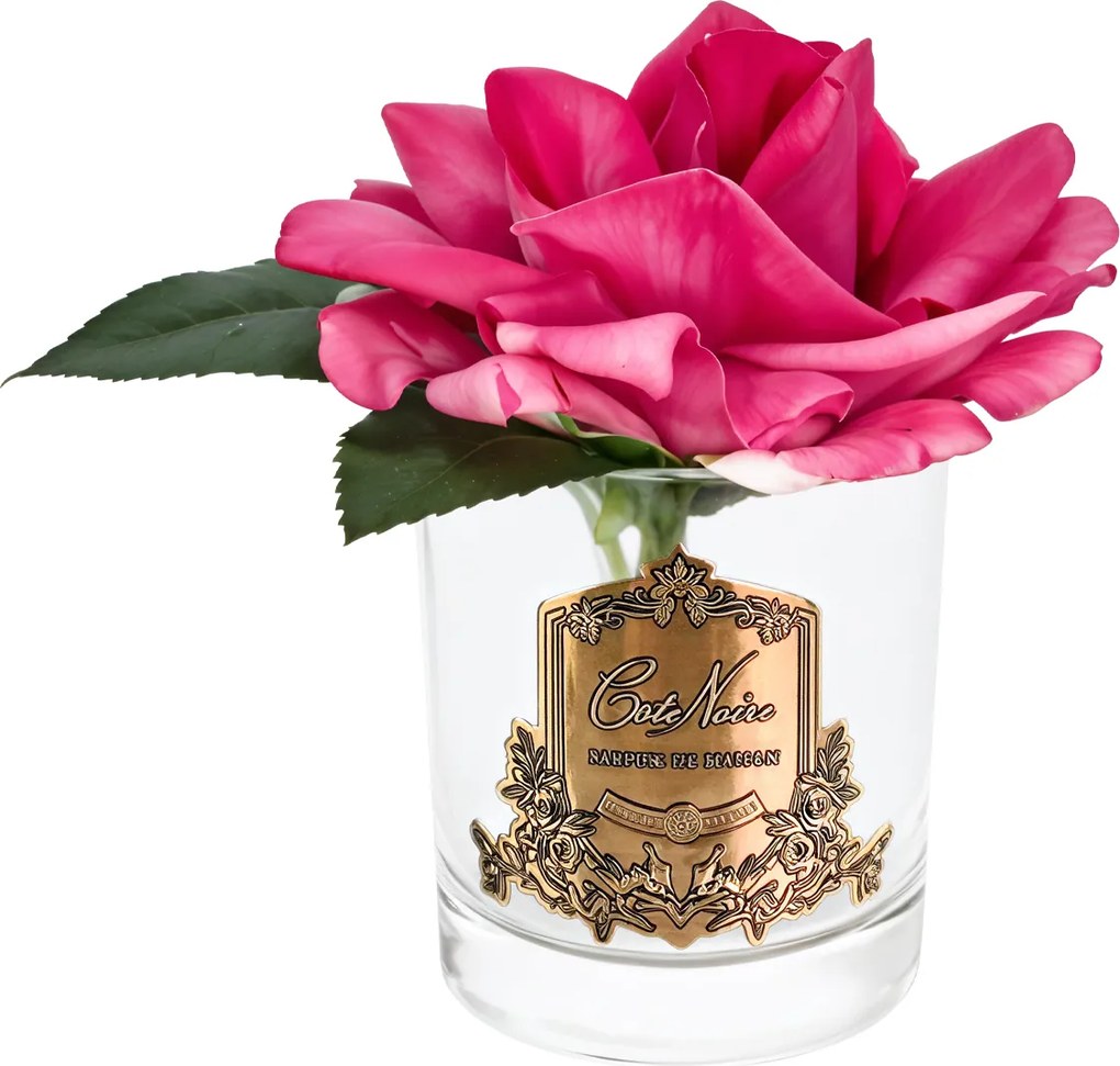 Côte Noire Parfémovaná růže French Rose Magenta