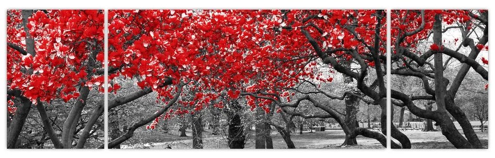 Obraz - Červené stromy, Central Park, New York (170x50 cm)