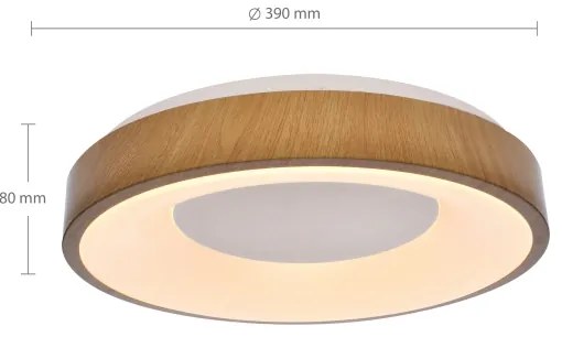 Brilagi - LED Stmívatelné stropní svítidlo DORIA LED/48W/230V 3000-6500K + DO