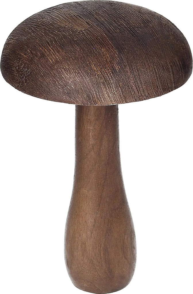 Houba Darkcap 12x18 cm