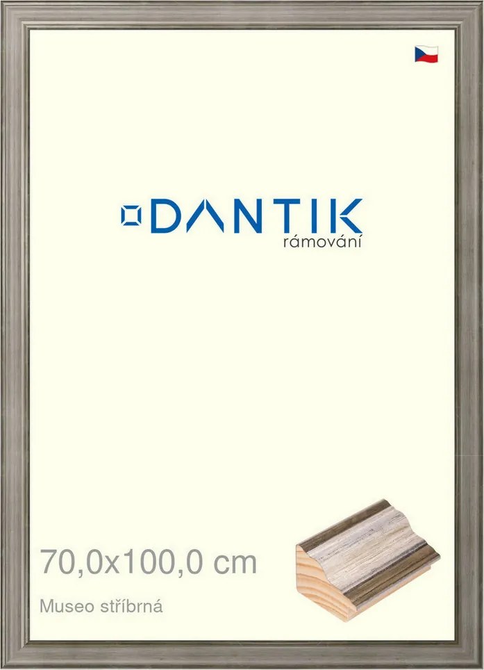 DANTIK rámeček 70x100 | Museo stříbrná (Plexi Čiré)