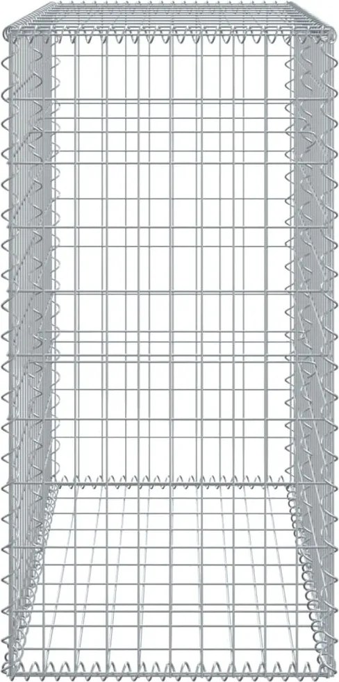 Gabionový koš s víkem 100 x 50 x 100 cm pozinkované železo 3295142