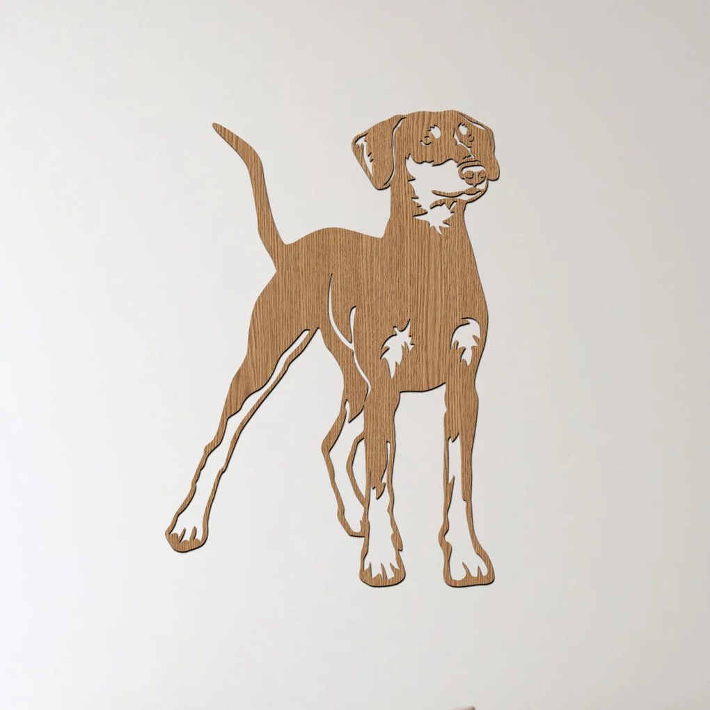 dřevo života Dřevěná samolepka Německého pinče Zvolte rozměr (cm): 28x40, Zvolte barvu dekoru: Wenge