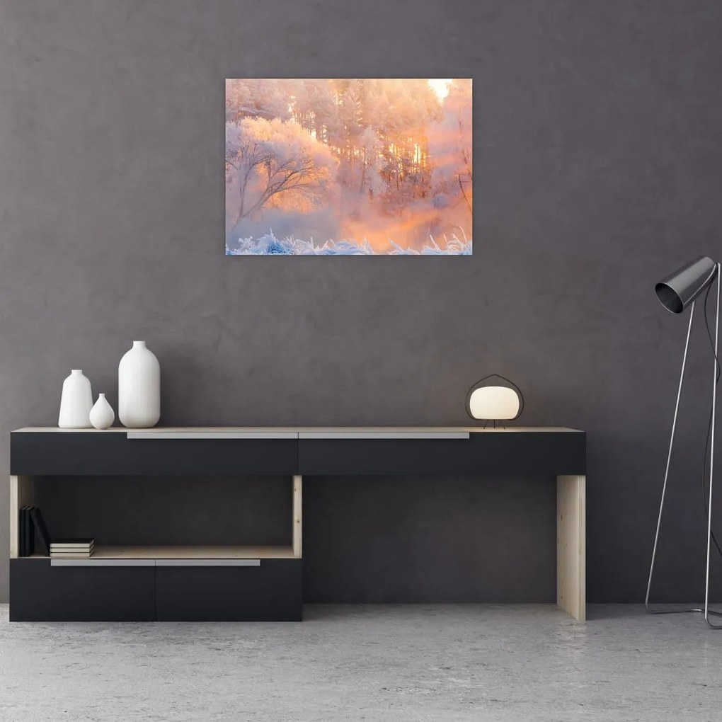 Skleněný obraz - Mrazivé svítání (70x50 cm)