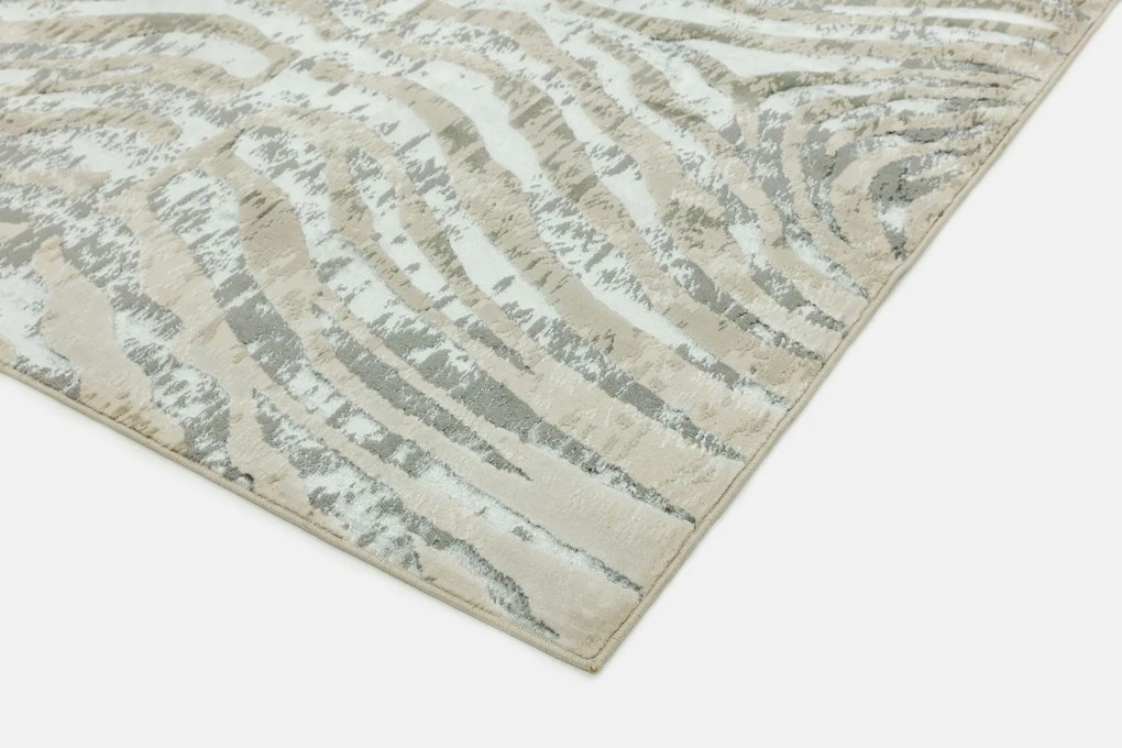 Šedý koberec Ston Zebra Rozměry: 200x290 cm