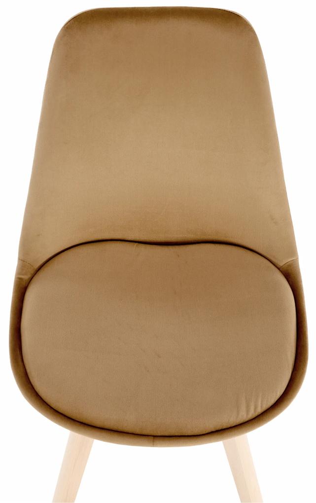 Jídelní židle Blanche (horčicová + buk). 1028824
