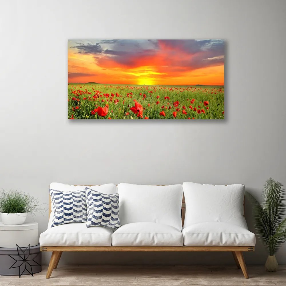 Obraz na plátně Máky Slunce Rostlina Příroda 100x50 cm