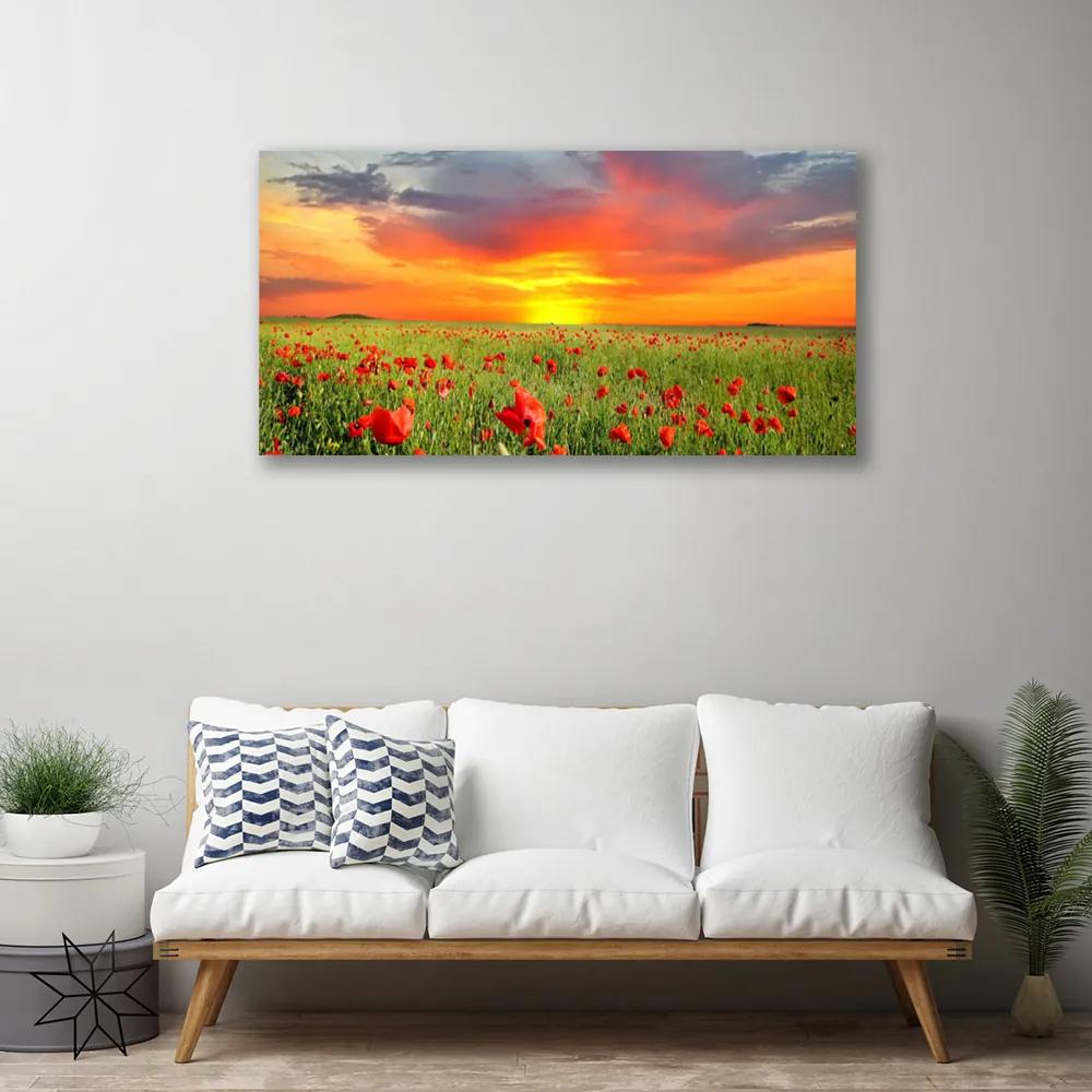 Obraz na plátně Máky Slunce Rostlina Příroda 120x60 cm