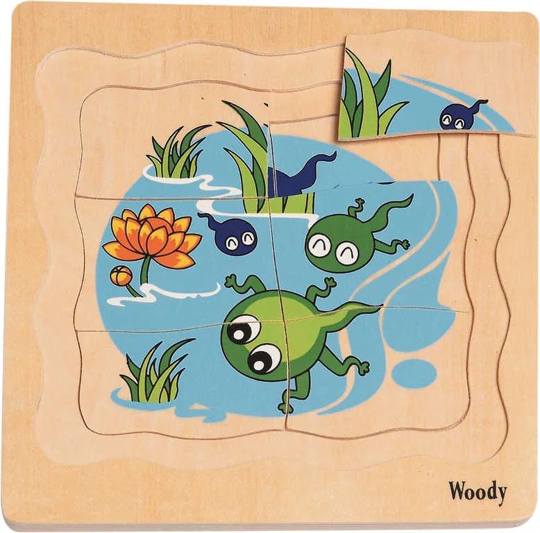 WOODY DŘEVO Puzzle naučné vývoj žáby 4 vrstvy 4 obrázky 4v1 na desce 90078