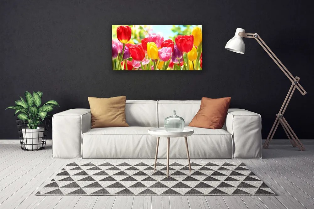 Obraz na plátně Tulipány Květiny Rostlina 100x50 cm