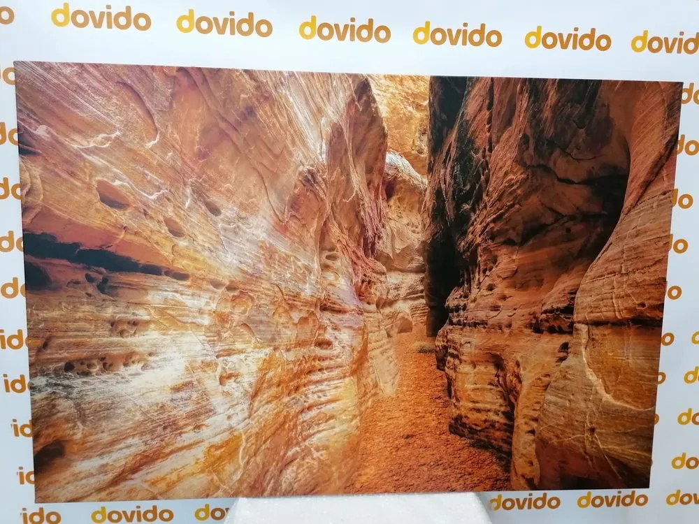 Obraz cestička Grand Canyonem