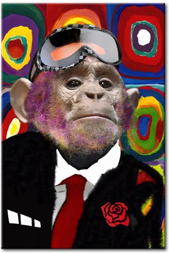 Murando DeLuxe Mr. Monkey Velikost: 60x90 cm