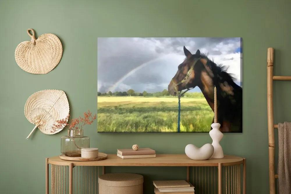 Obraz Kůň Na Louce Nedostatek Nedostatek Přírodní plátno 40x30