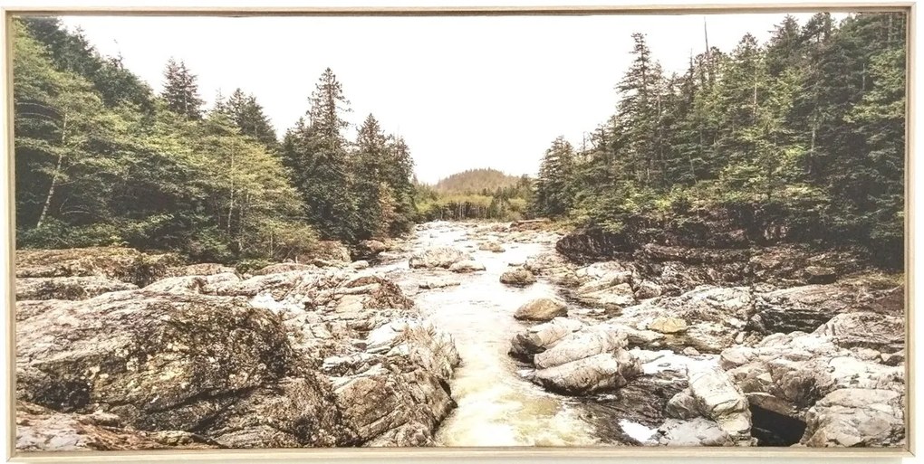 Bondecor Obraz na plátně v rámu "Řeka lesem" 102x51 cm Barva: Přírodní rám