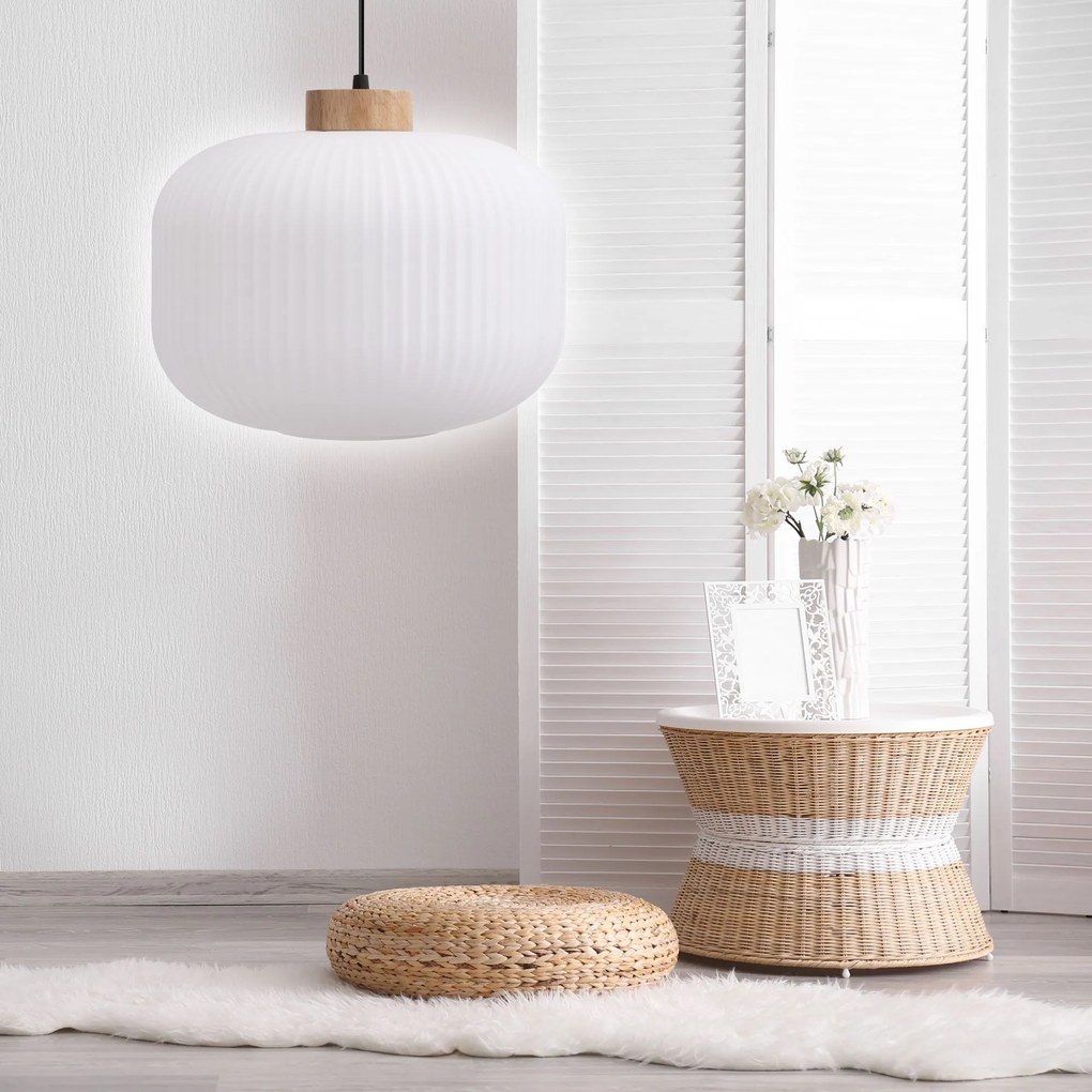 Toolight, stropní svítidlo ze skla 1xE27, bílá, OSW-04412