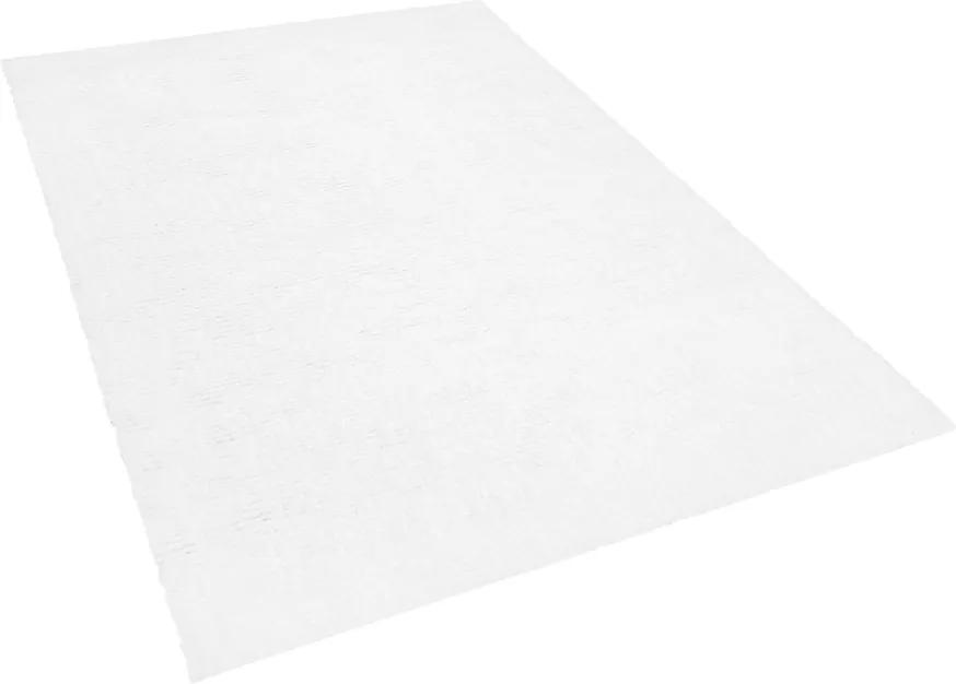 Bílý koberec 140x200 cm DEMRE