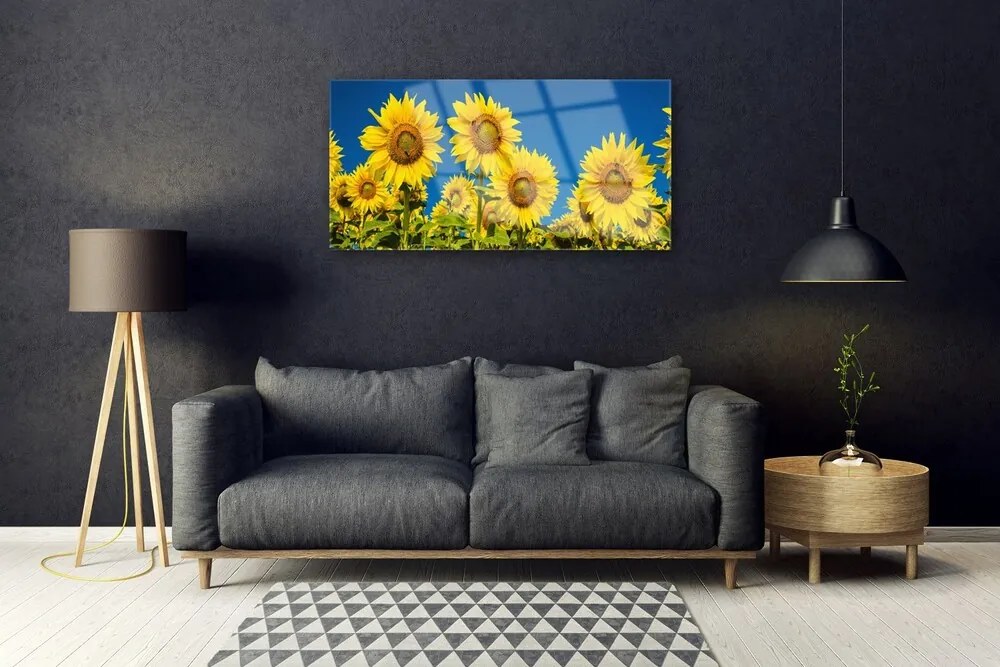 Obraz na skle Slunečníce Rostlina 140x70 cm