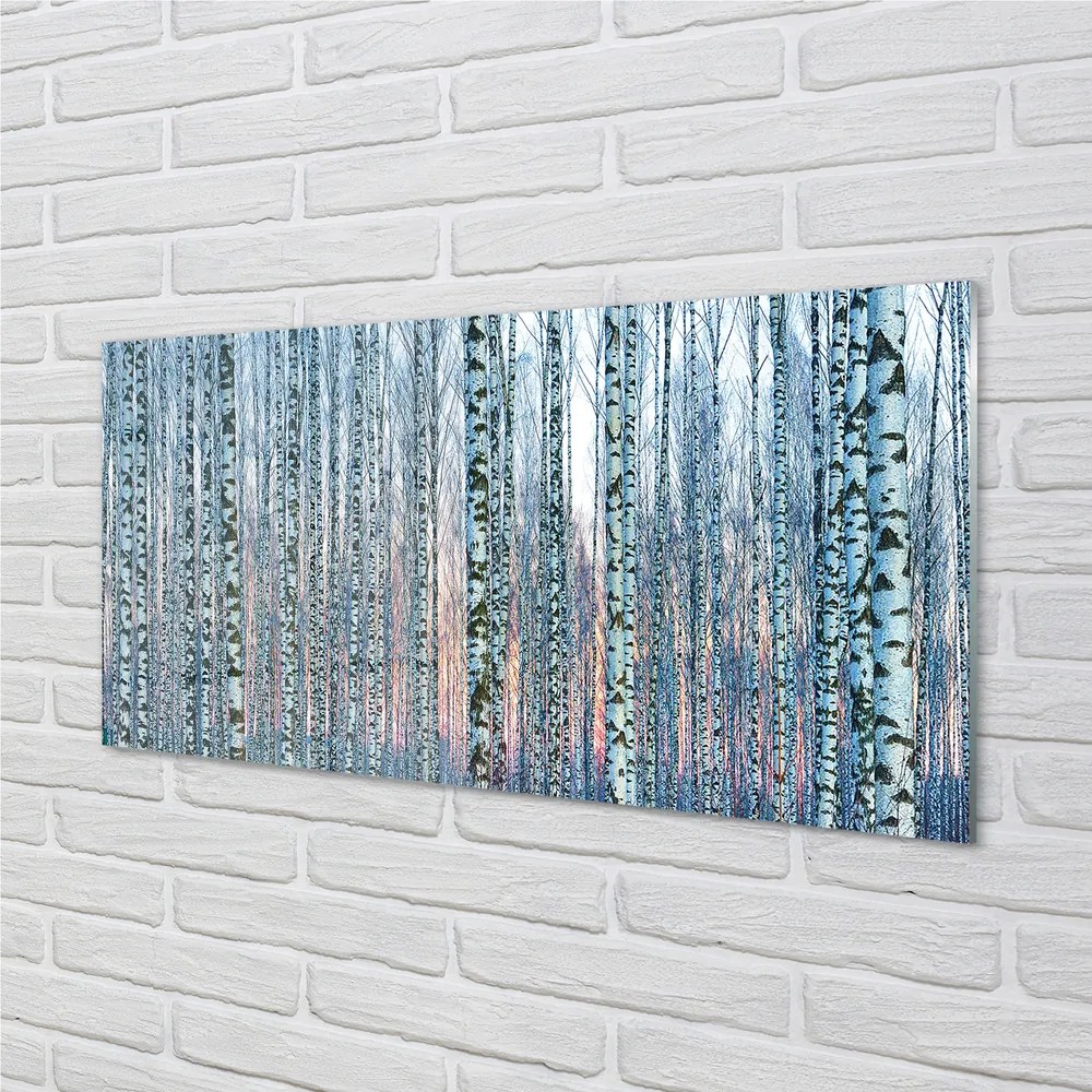 akrylový obraz Březového lesa při západu slunce 125x50 cm