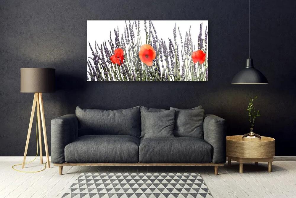 Plexisklo-obraz Květiny Máky Pole Trávy 120x60 cm