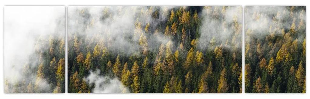 Obraz lesa v mracích (170x50 cm)