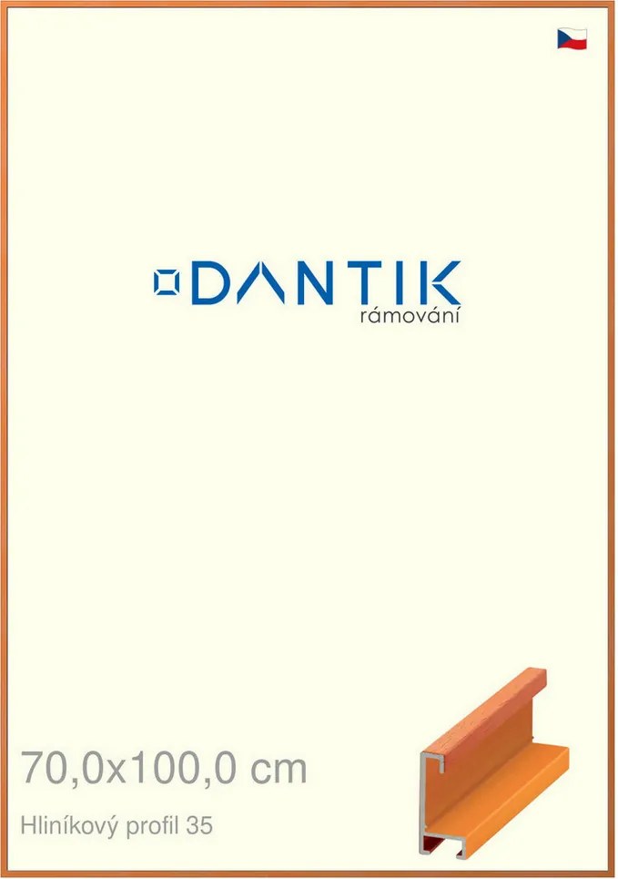 DANTIK rámeček 70x100 | ALU profil 6035 Dýha barevná oranžová (Plexi Čiré)