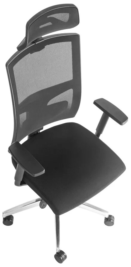 ALBA Ergonomická kancelářská židle DESALUTE - černá síťovina / nosnost 150 kg