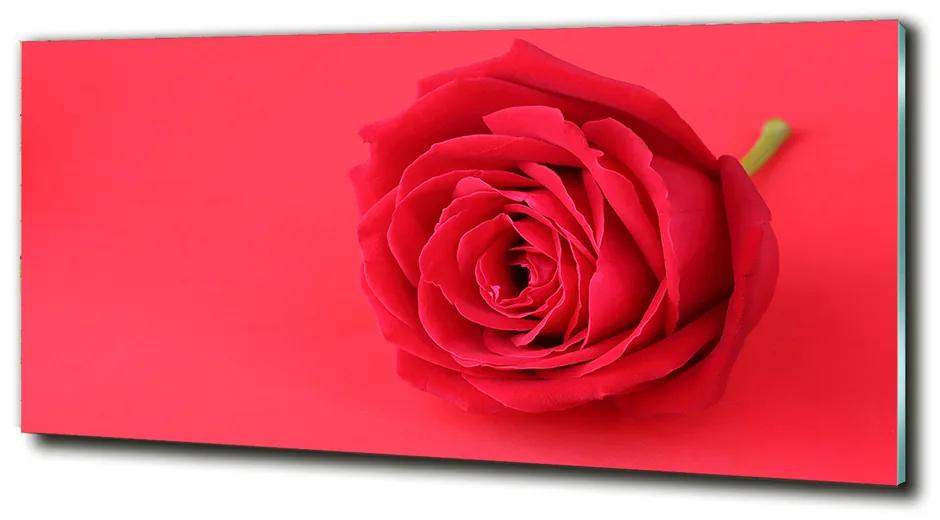 Wallmuralia Foto-obrah sklo tvrzené Červená růže 125x50 cm