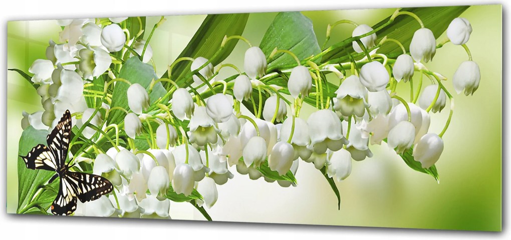 Skleněný obraz 125x50 grafika za sklem květina