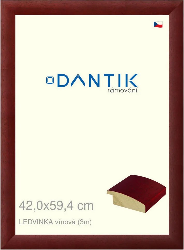 DANTIK rámeček 42x59,4 | LEDVINKA vínová (Plexi Čiré)