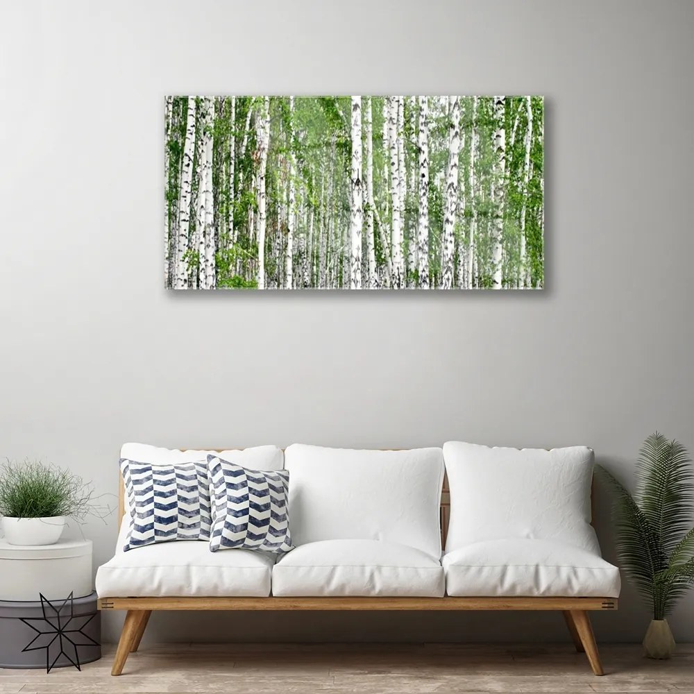 Obraz na skle Bříza Les Stromy Příroda 100x50 cm