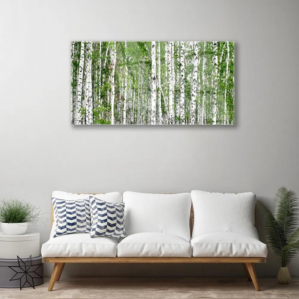 Obraz na skle Bříza Les Stromy Příroda 140x70 cm