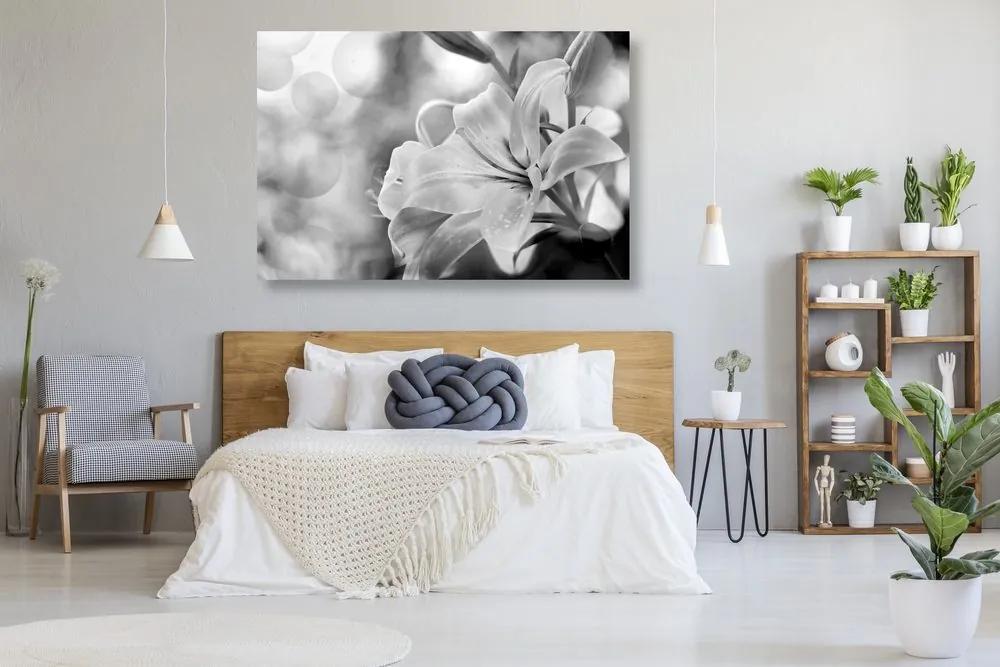 Obraz květ lilie na abstraktním pozadí v černobílém provedení Varianta: 60x40