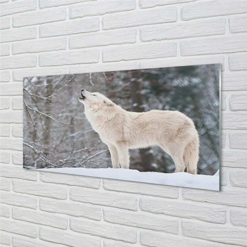 Obraz na skle Vlk v zimě lese 120x60 cm