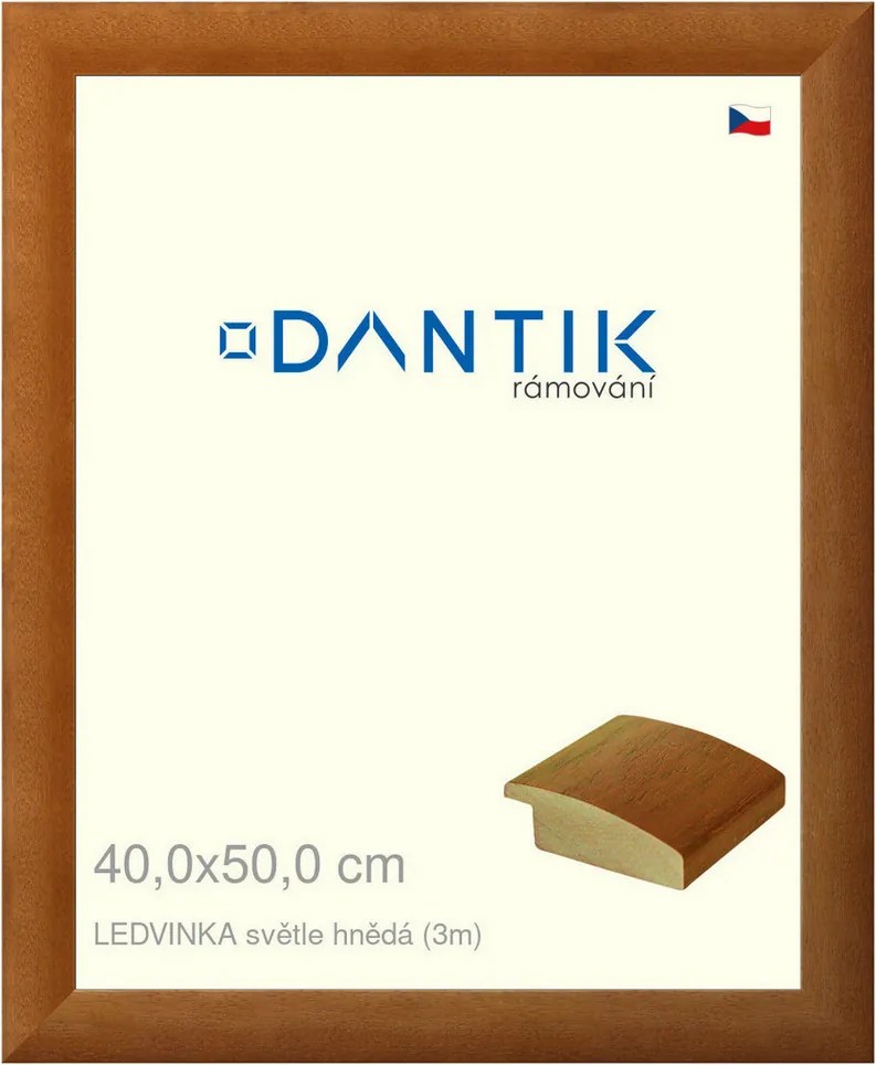 DANTIK rámeček 40x50 | LEDVINKA světle hnědá (Plexi Čiré)