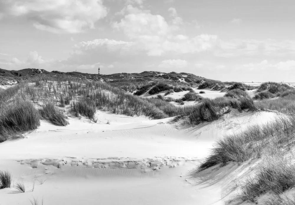 Fototapeta Dune Paradise V Černé A Bílé Vliesová tapeta 460x300