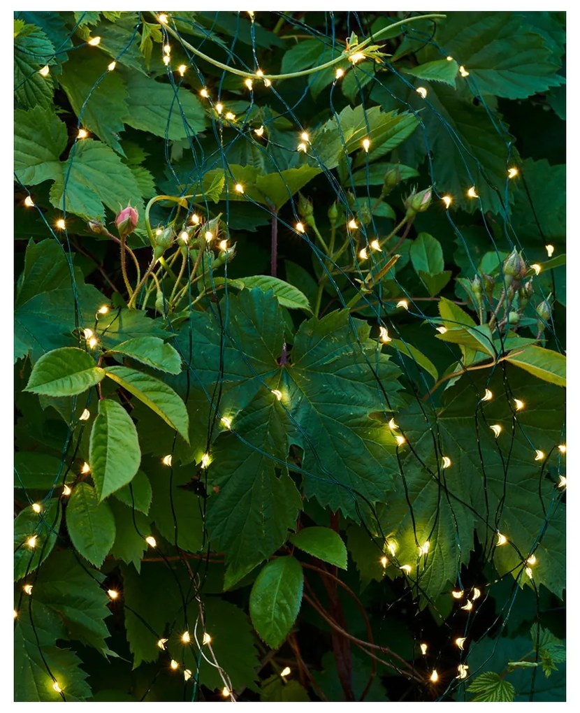 Svítící řetěz Fairy Light 80 LED Green Sirius