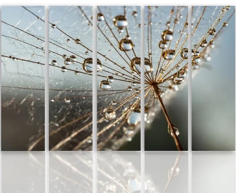 CARO Obraz na plátně - Drops Of Dew And Spiderweb 150x100 cm