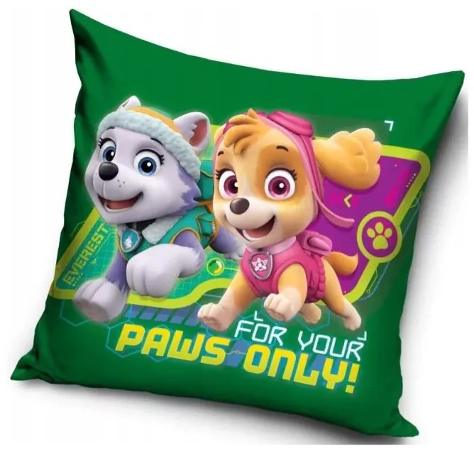 Dětský polštářek Paw Patrol Paws Only 40x40 cm