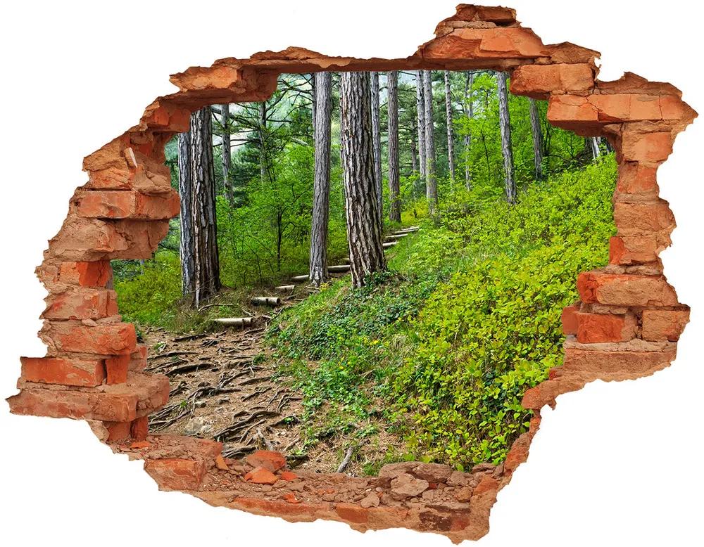 Wallmuralia Díra 3D ve zdi nálepka Lesní stezka 90x70 cm