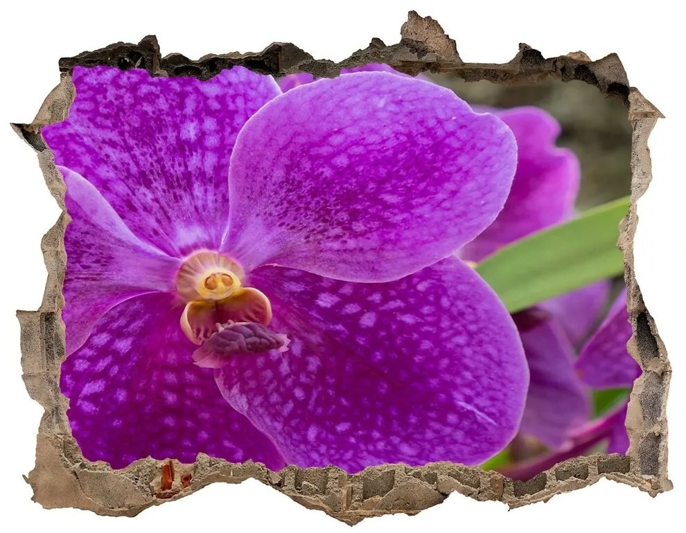 Wallmuralia Samolepící díra nálepka Orchidej 95x64 cm