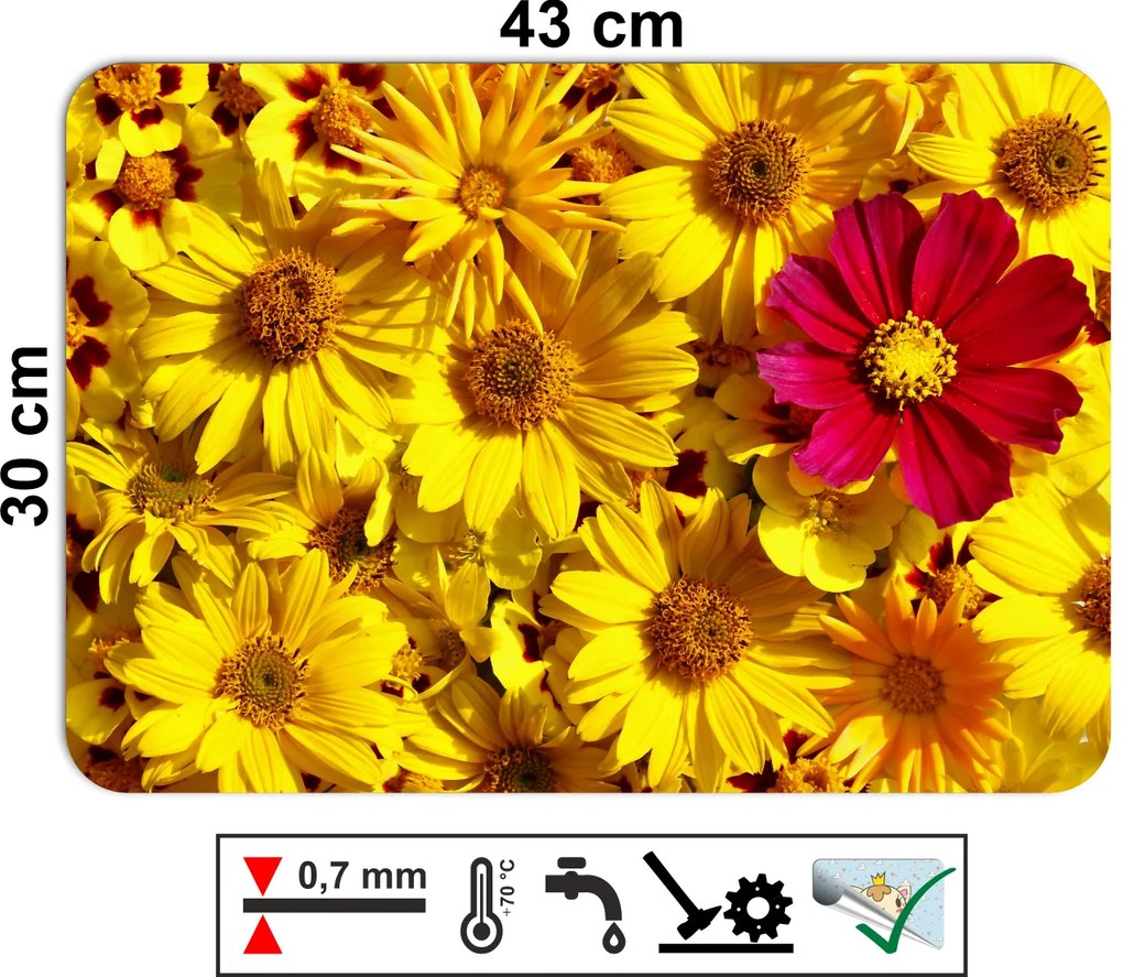 PokojovaDekorace.cz, Prostírání - 273 Kytky, Barevné květiny, 43x30cm